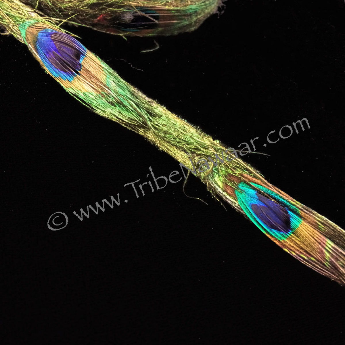 Peacock Feather Trim - Tribe Nawaar